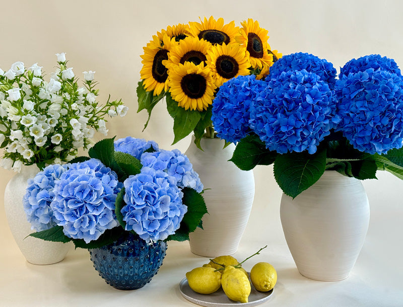 Mediterranes Flair – TOM FLOWERS