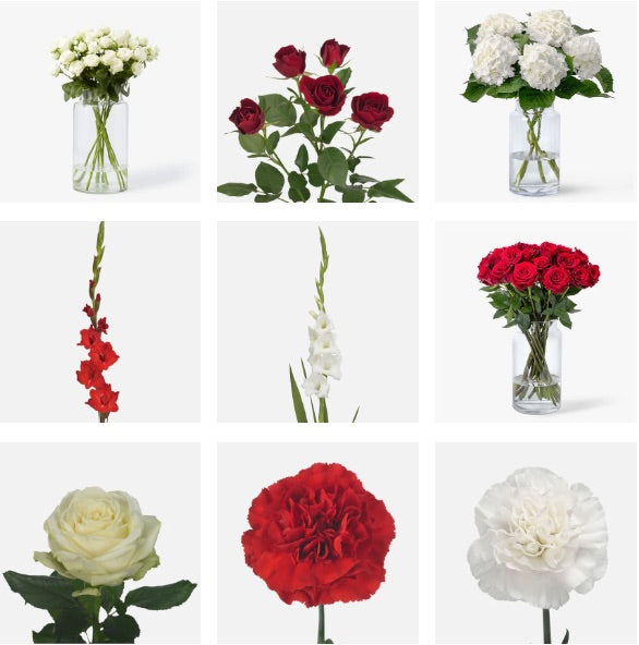 1. August – TOM FLOWERS