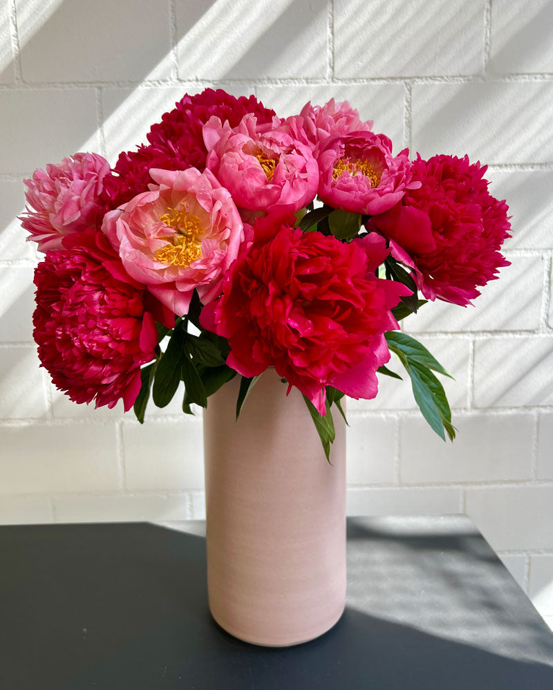 BIG POP X tf – TOM FLOWERS