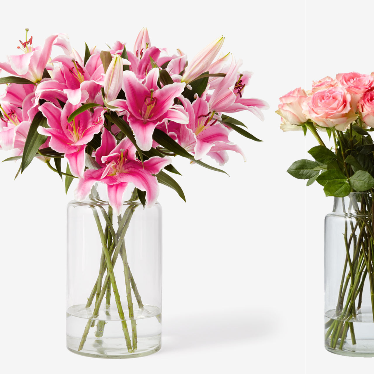 Blumen Premium-Abo – TOM FLOWERS